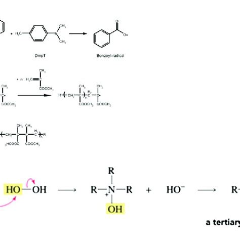 Classification Of Dental Cements Download Scientific Diagram