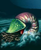Xarquid Alien Species Fandom