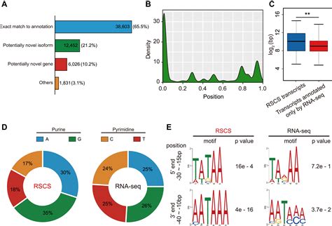 Deep Annotation Of Long Noncoding Rnas By Assembling Rna Seq And Small Rna Seq Data Journal Of