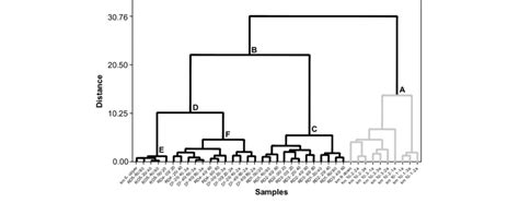 Dendrogram Obtained By Hca Of The Samples Download Scientific Diagram