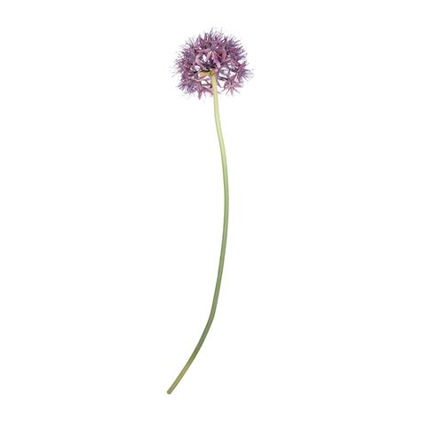 Artificial Allium Stem Buy Online Here Portmeirion Online