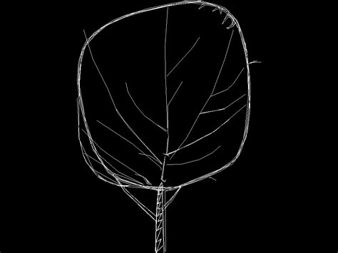 Tree In Elevation 022 In AutoCAD CAD Download 16 45 KB Bibliocad