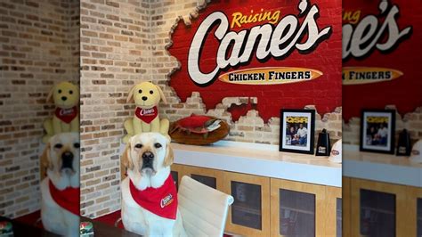 12 Facts About Raising Canes Every Fried Chicken Enthusiast Should Know