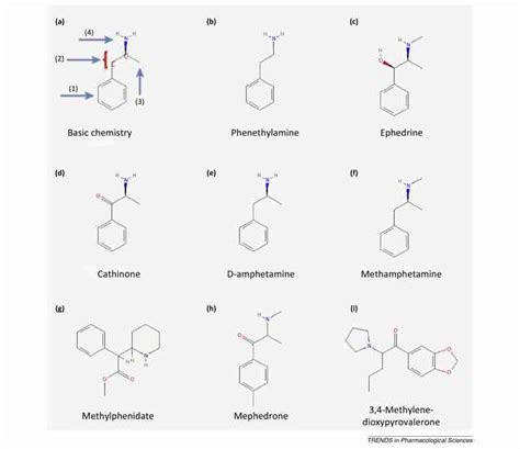 Chemical Structures Of Amphetamines Download Scientific Diagram