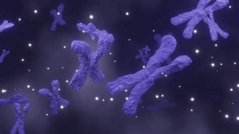 5 Chromosome 3d Acrocentric Royalty Free Photos And Stock Images Shutterstock