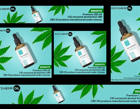 Rabia Ansari On Behance