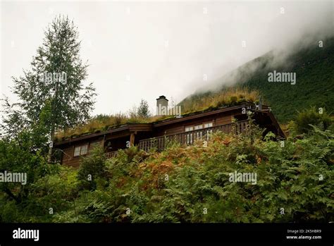 Grass Roofing On A House In Olden Norway Wooden Cabin House With Grass