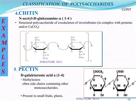 Classification Of Polysaccharides Gluconeogenesis And Glucogenolysis