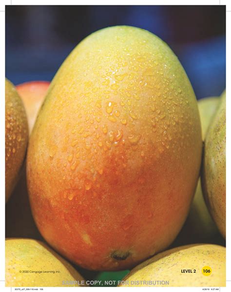 Food Present Simple Questions Baamboozle Baamboozle The Most