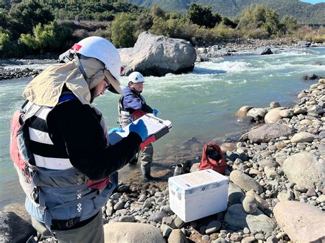 Tinguiririca EnergÍa Realiza Plan De Monitoreo De Flora Fauna Y