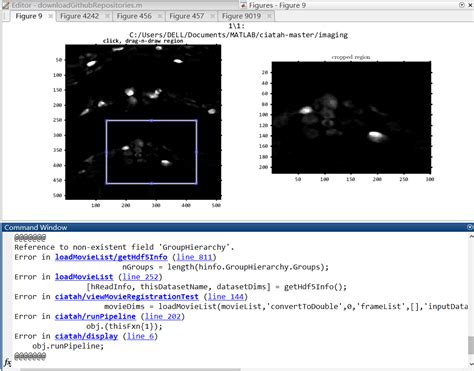 Non Existent Field Grouphierarchy · Issue 104 · Bahanonuciatah · Github