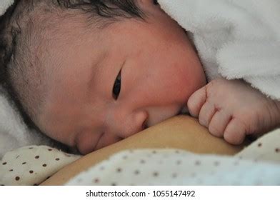 Postpartum Skin Face Asian Mom Photos Images And Pictures Shutterstock