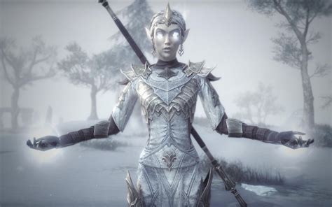 Snow Elf Prelate Of The Shrines Of Auri El Rtesofashion
