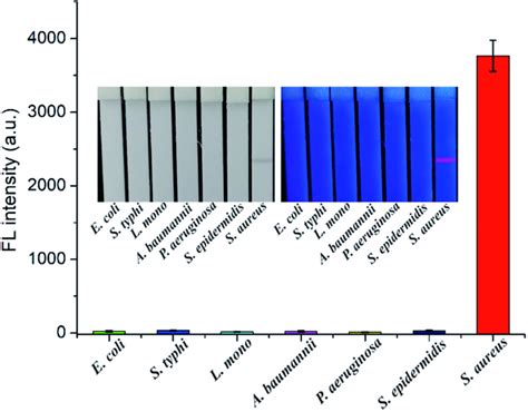 Specificity Of Sio2 Au Qd Van Based Lfa Photographs And Fluorescence Download Scientific