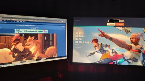 Multitaskingirl Rfurryirl