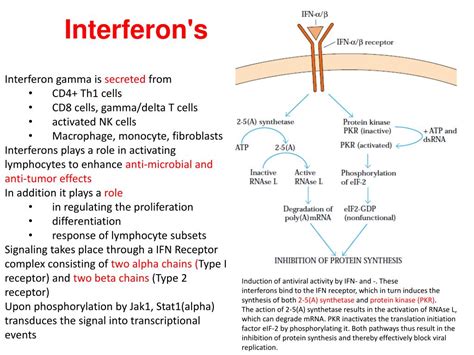 Ppt Immune Response To Infectious Diseases Powerpoint Presentation
