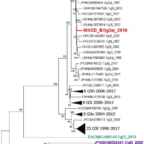 Phylogenetic Tree Of All Available Complete Genome Sequences Of