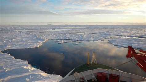 Visit To An Ocean Planet Go Bgc