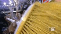 Sweeping Broom 