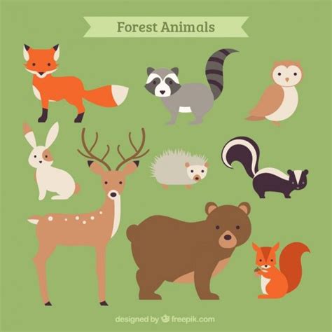 Коллекция животных обращается лес рук | Бесплатно векторы | Forest ...