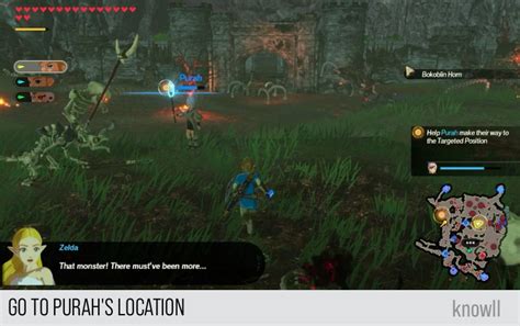 Hyrule Warriors Age Of Calamity Purah Guide