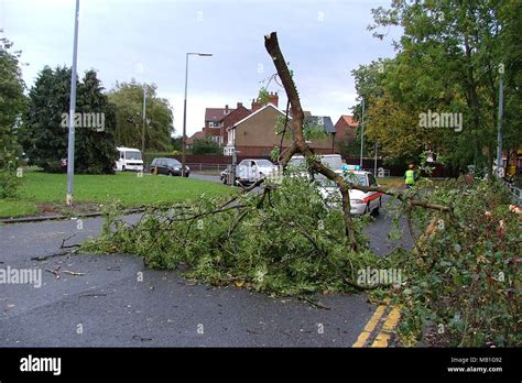 Tree Blocking Road Hi Res Stock Photography And Images Alamy