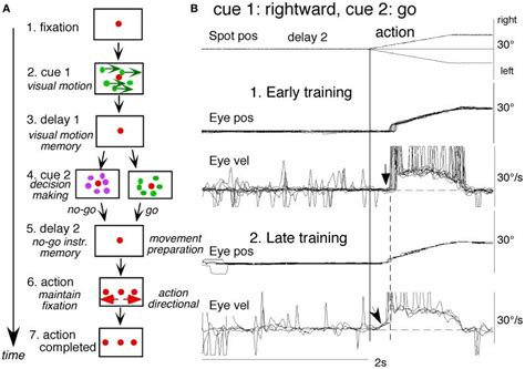 A Memory Based Smooth Pursuit Task And Representative Eye Movements Of