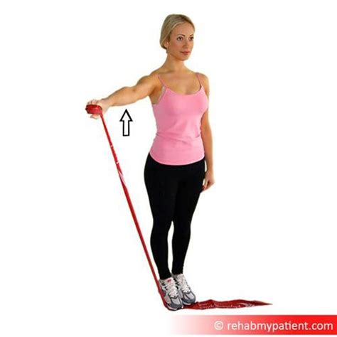 Supraspinatus Exercises Exercises For Shoulder Impingement Syndrome