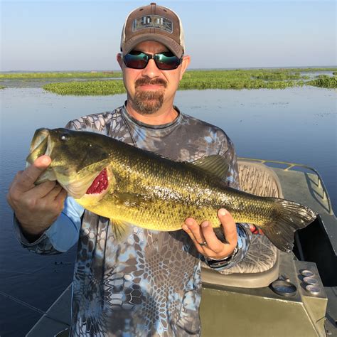 Craig Brown Linkedin