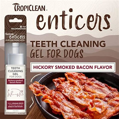 What Can I Use As A Substitute For Dog Toothpaste