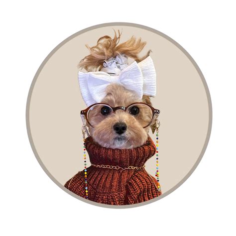 Products Noodlesthepooch