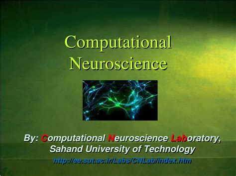 Ppt Computational Neuroscience Powerpoint Presentation Free Download Id6955457