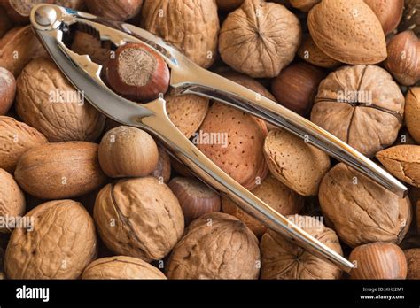 Nuts Of Different Kinds Stock Photo Alamy