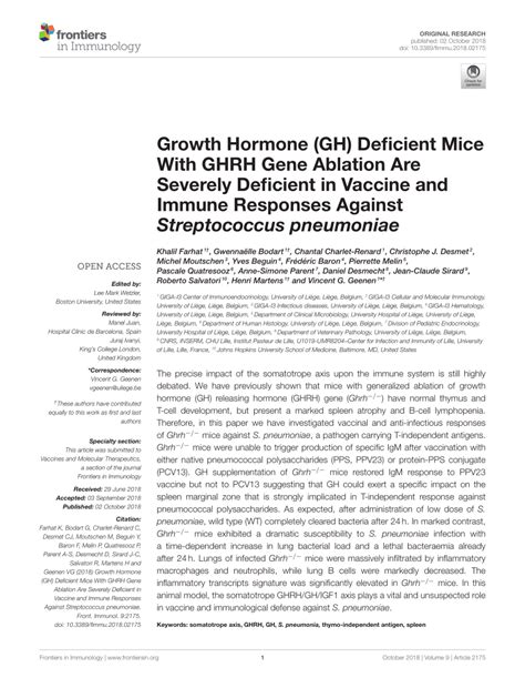 Pdf Growth Hormone Gh Deficient Mice With Ghrh Gene Ablation Are Severely Deficient In