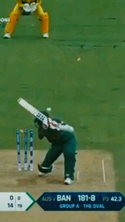 Hat Trik Wickets By Mitchell Starck🔥🥵🥶 Shorts Cricket Youtube