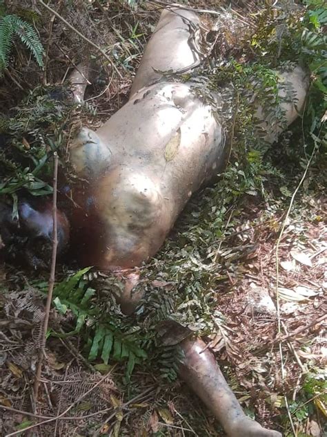 Click Image For Larger Versionname Jpegviews Size Kbid