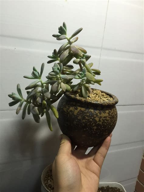 秋丽201601 高清图片，堆糖，美图壁纸兴趣社区