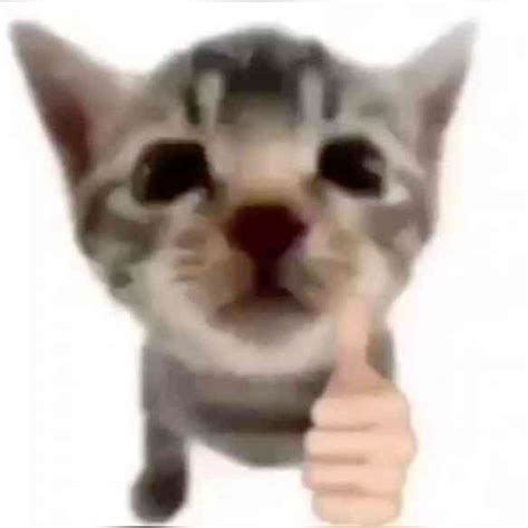 Cat Thumbs Up