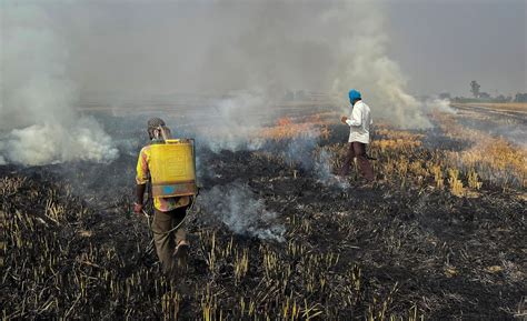 Farmers Cite Lack Of Options As Stubble Burning Turns Air Toxic In