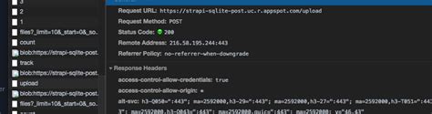 Images Correctly Uploaded But Not Visible Later Issue Strapi Community Strapi