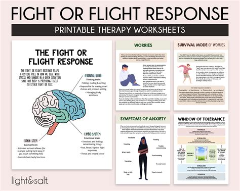 Example Of Fight Or Flight Response