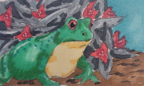 Pixie Ethnicity In Wild Beyond The Witchlight Campaign Expansion