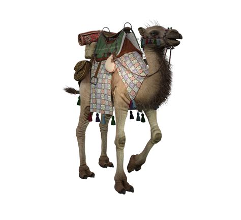 Camel 2 By Direwrath On Deviantart Camel 2 By Direwrath On Deviantart