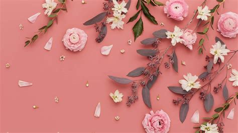 Girly Flower Wallpapers 4k Hd Backgrounds On Wallpaperbat