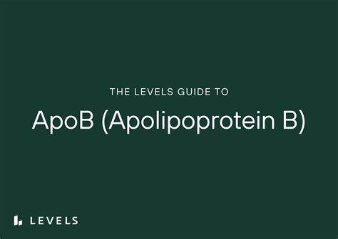 Guide To Apolipoprotein B Apob Levels Levels
