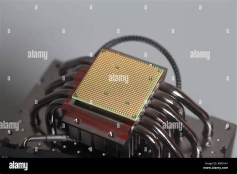 Central Processing Unit Cpu Microchip On Computer Fan Processor Cooler