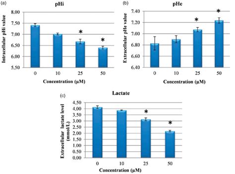 Measurement Of Phi Phe And Extracellular Lactate Level A The Download Scientific Diagram
