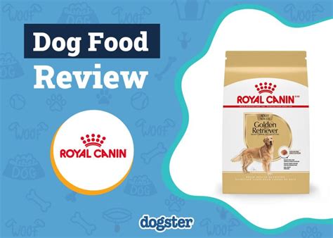 Black Cockapoo Info Pictures Origin And History Dogster