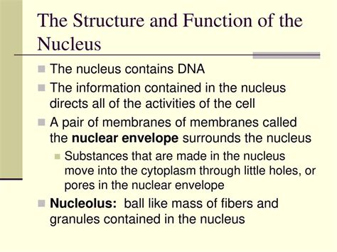 Cell Structure And Function Ppt Download
