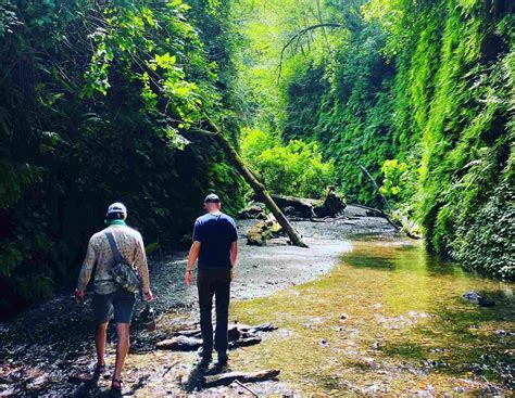 Secret Fern Canyon Of California Hidden Jurassic Park Film Location